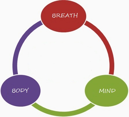 The Four Establishments of Mindfulness – Days of Mindfulness Practice